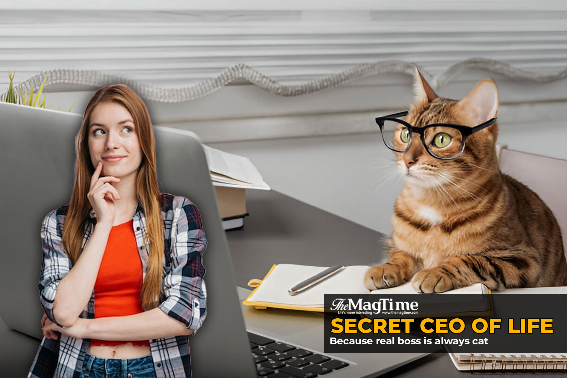 Why My Cat Is the CEO of My Life (and Probably Yours Too)